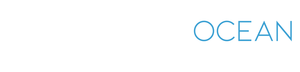 Blue Ocean Technologies LLC