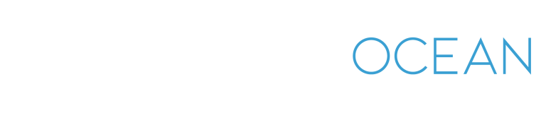 Trading Updates – Blue Ocean Technologies LLC